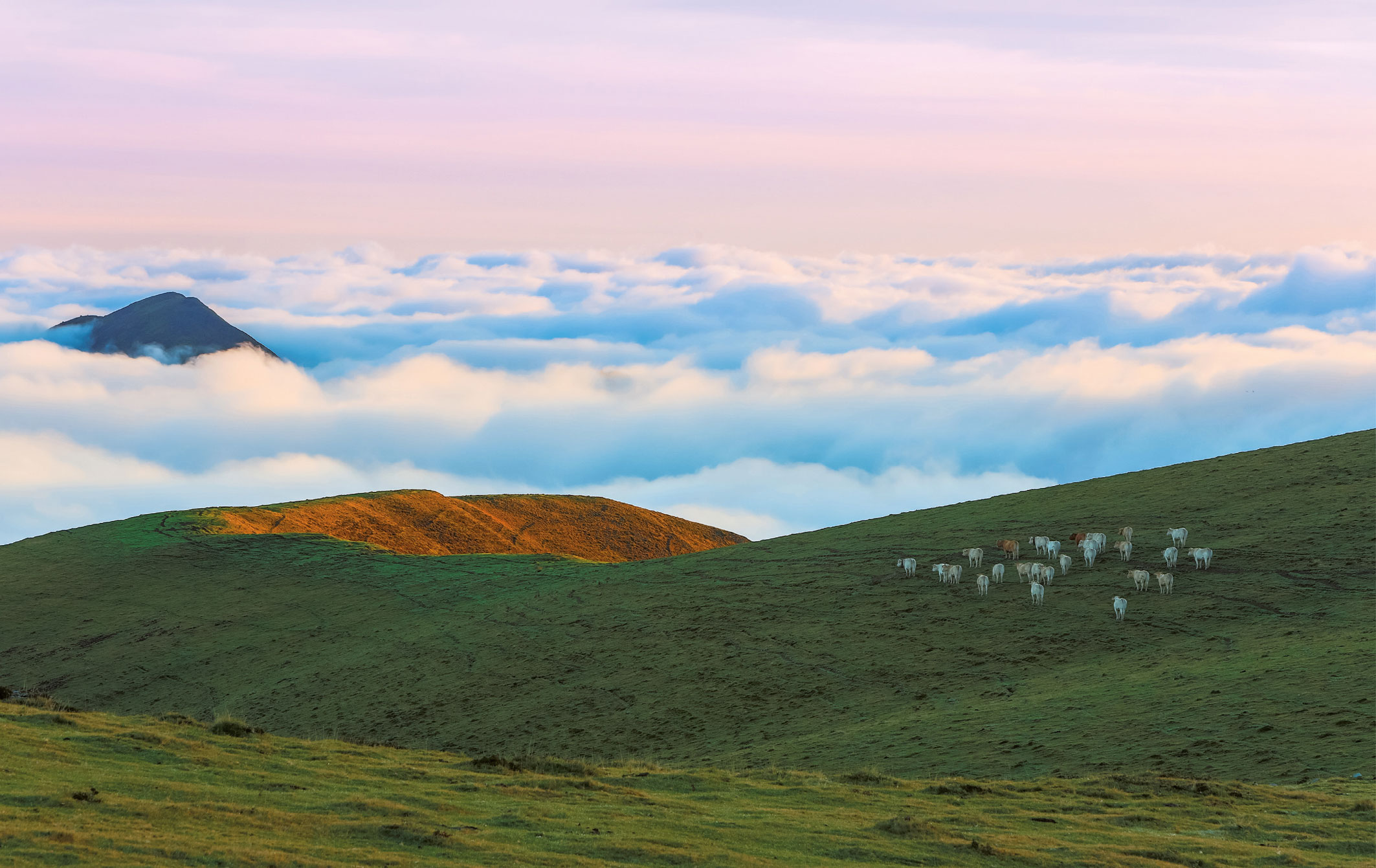 Présentation – Parc Comminges Barousse Pyrénées